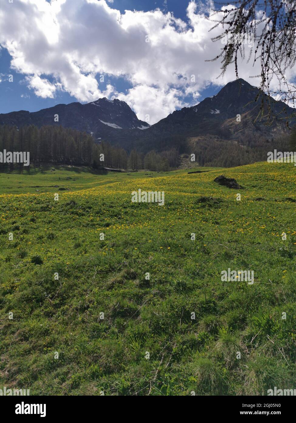 Monte rosa rando hi-res stock photography and images - Alamy