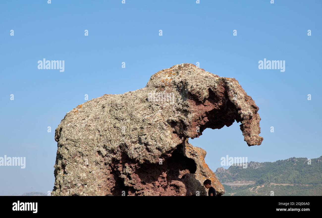 elephant-shaped rock- tourist attraction - sardinia Castelsardo Stock ...
