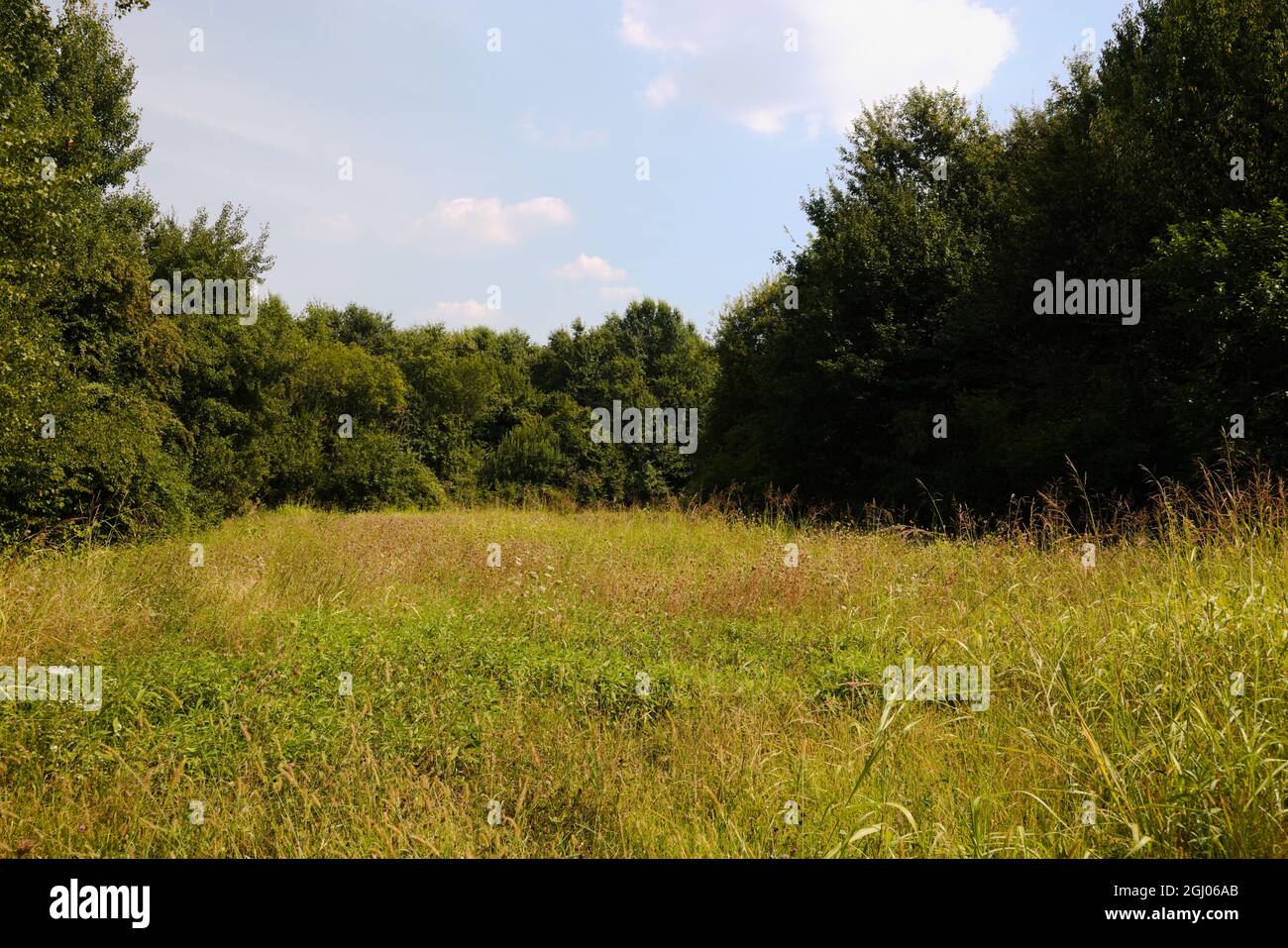 Cesano Maderno, Italy, 4 September 2021. Naturalistic Oasis of the ...