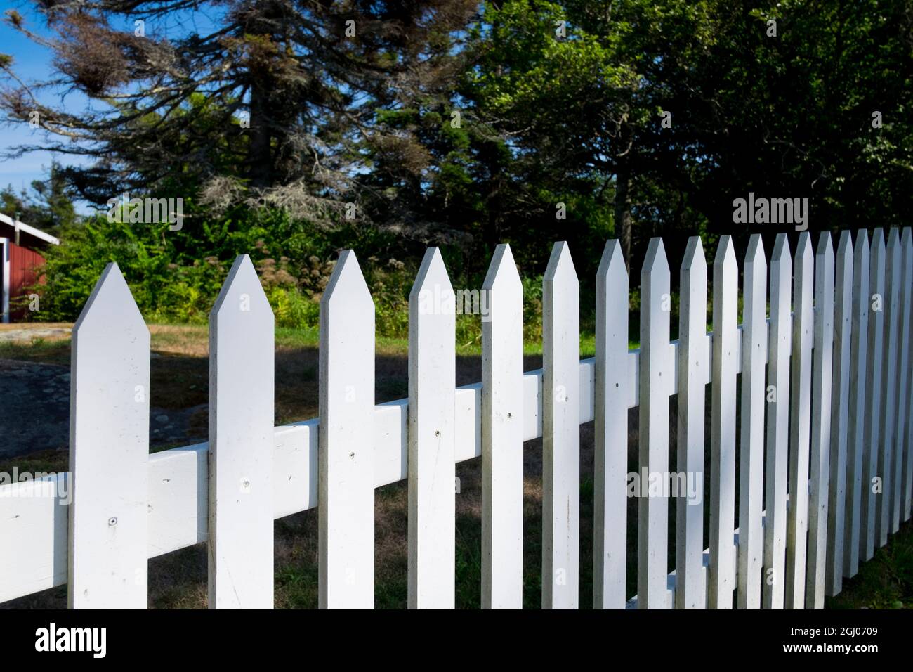 A classic wood, white painted picket fence. On Monhegan Island in Maine ...