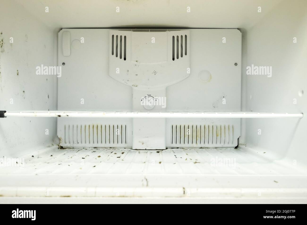 The inside of an empty freezer section of a refrigerator, rusty and moldy and gross. In ...