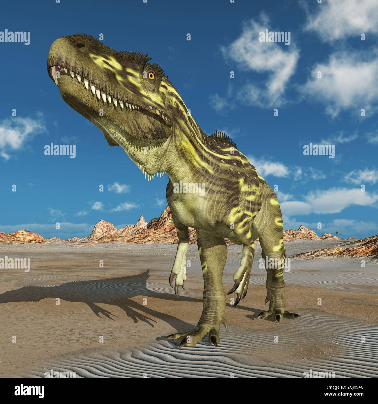 Torvosaurus hi-res stock photography and images - Alamy
