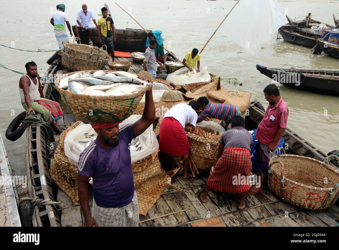 Non Exclusive: CHANDPUR CITY, BANGLADESH - SEPTEMBER 7: A fisherman ...
