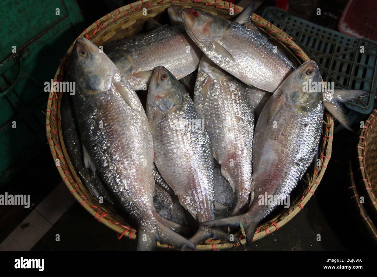 Non Exclusive: CHANDPUR CITY, BANGLADESH - SEPTEMBER 7: General view of ...