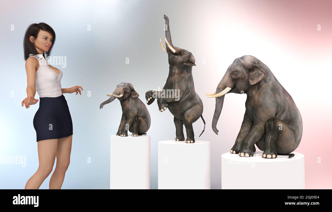 Female circus tamer with dwarf elephants Stock Photo - Alamy