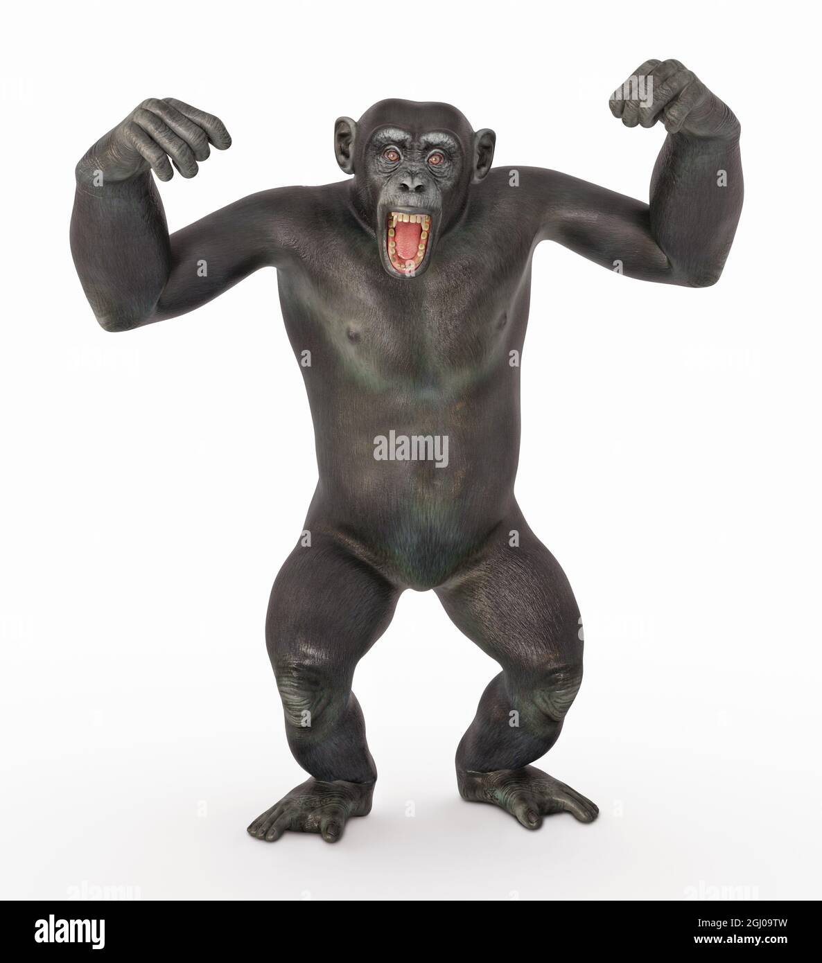 Combative pose hi-res stock photography and images - Alamy