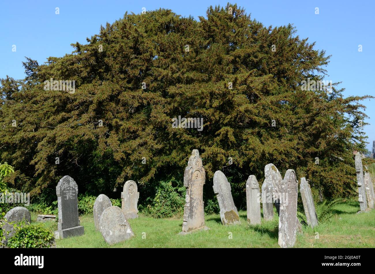 St cynogs hi-res stock photography and images - Alamy