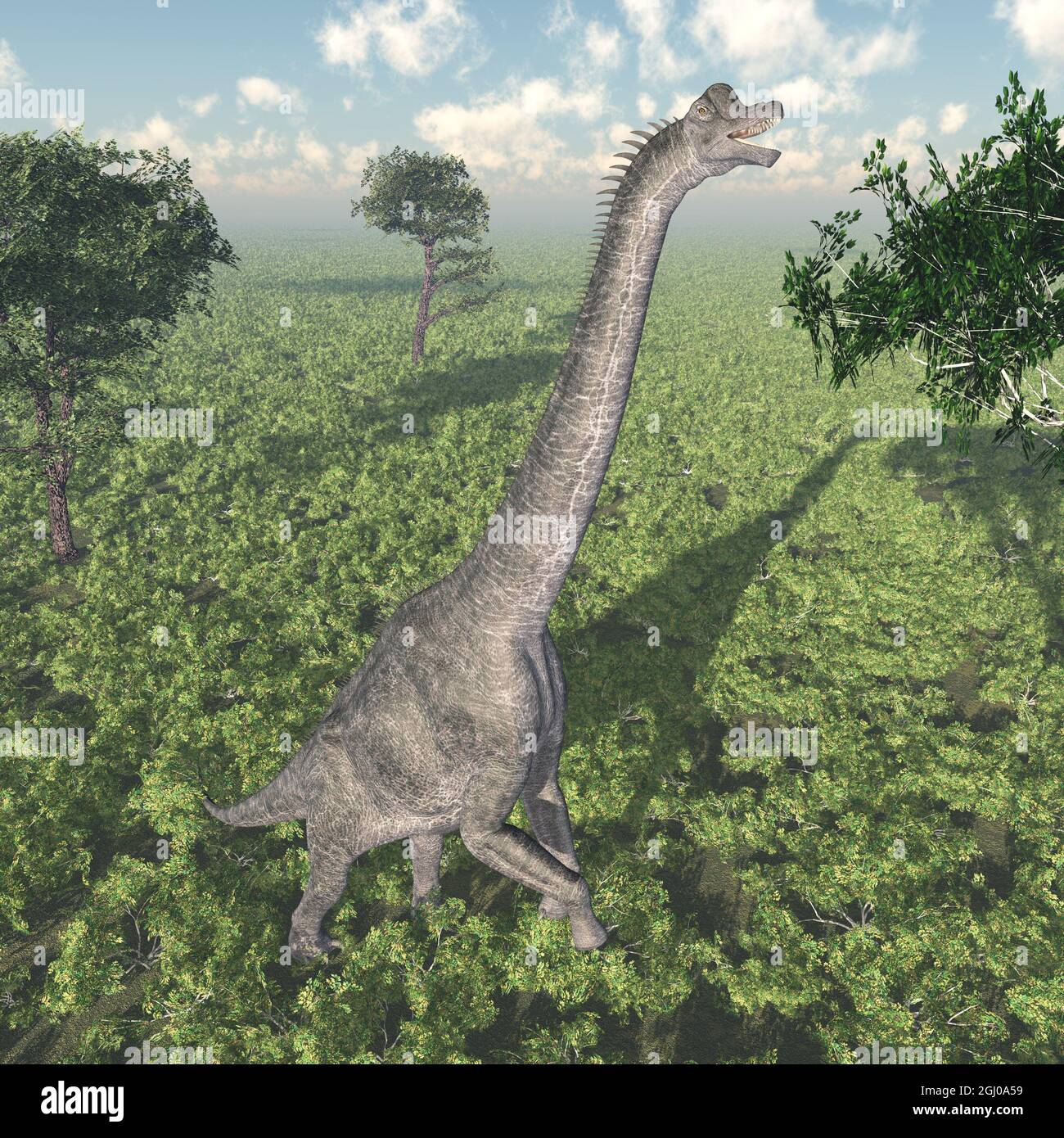 Dinosaur Brachiosaurus standing upright Stock Photo - Alamy