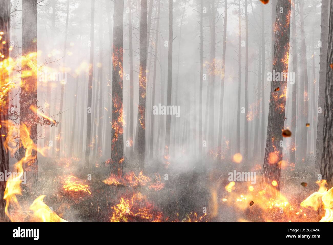 Wildfire flames smoke in nature hi-res stock photography and images - Alamy