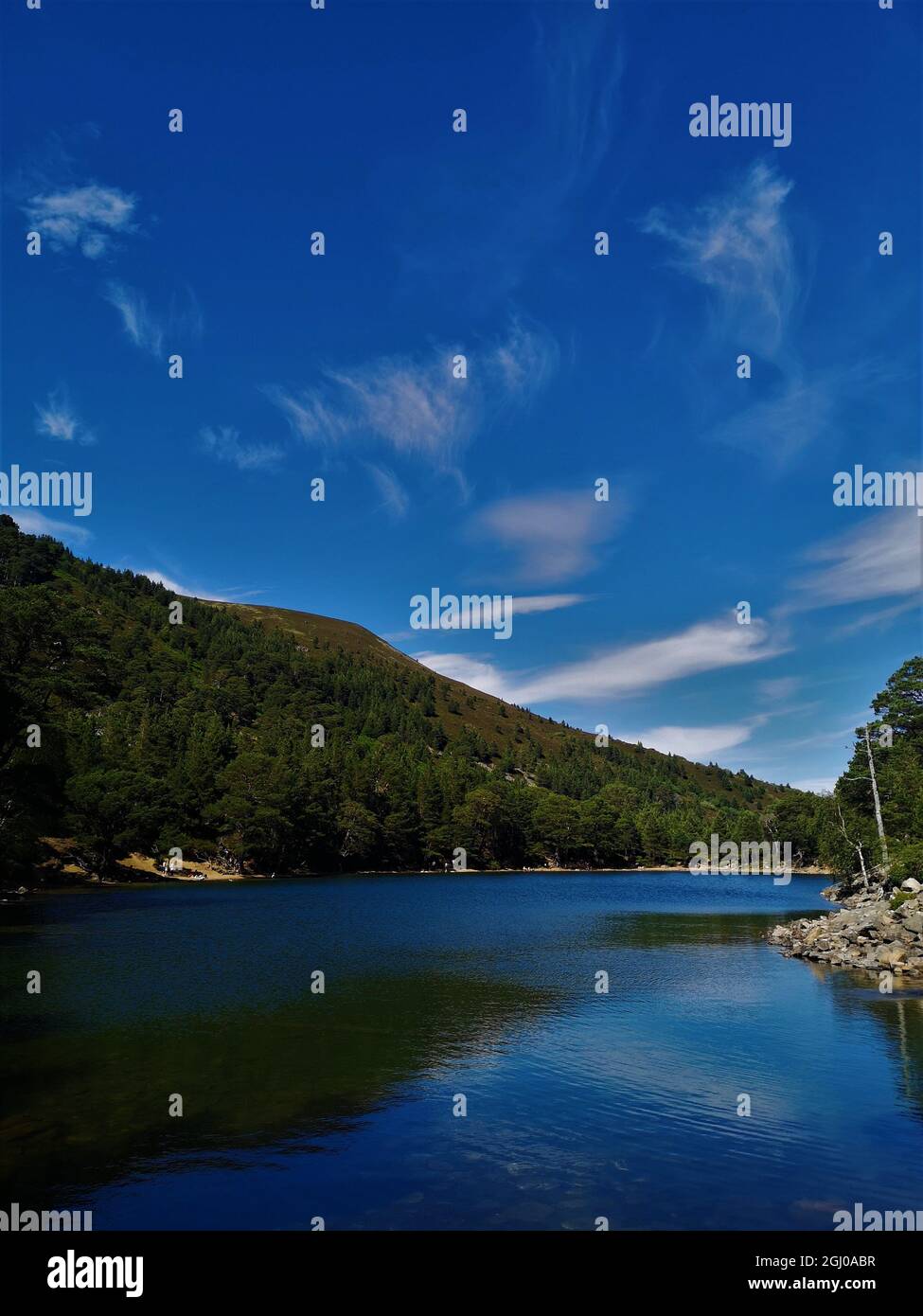 A view across the Green Loch (An Lochan Uaine) in Glenmore forest near ...