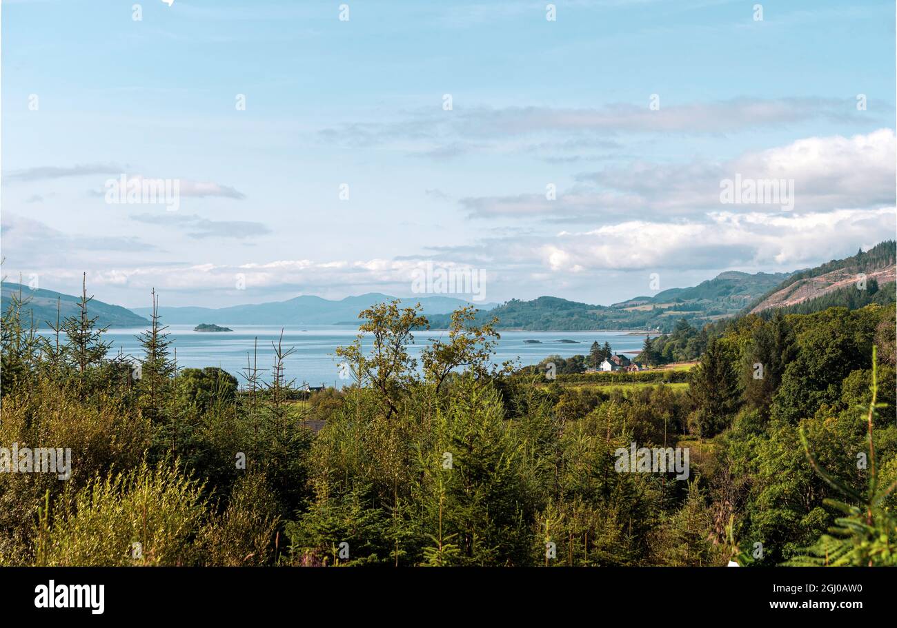 Deforestation and mono culture forest management in the Scottish ...