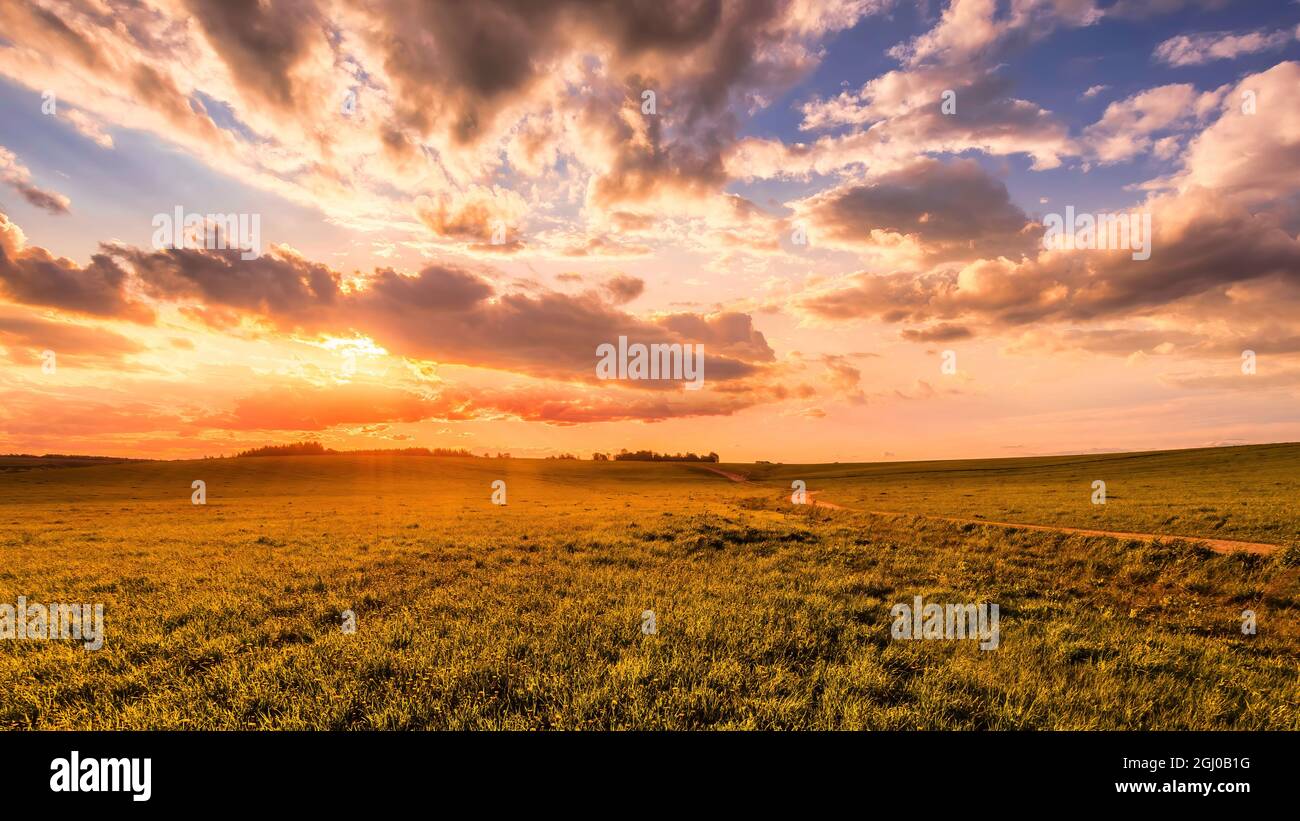Sunrise or sunset on a field covered with young green grass and yellow ...