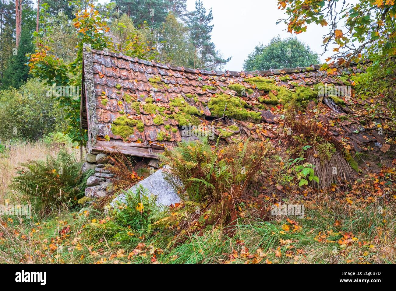 Beautiful cellar abandoned old hi-res stock photography and images - Alamy