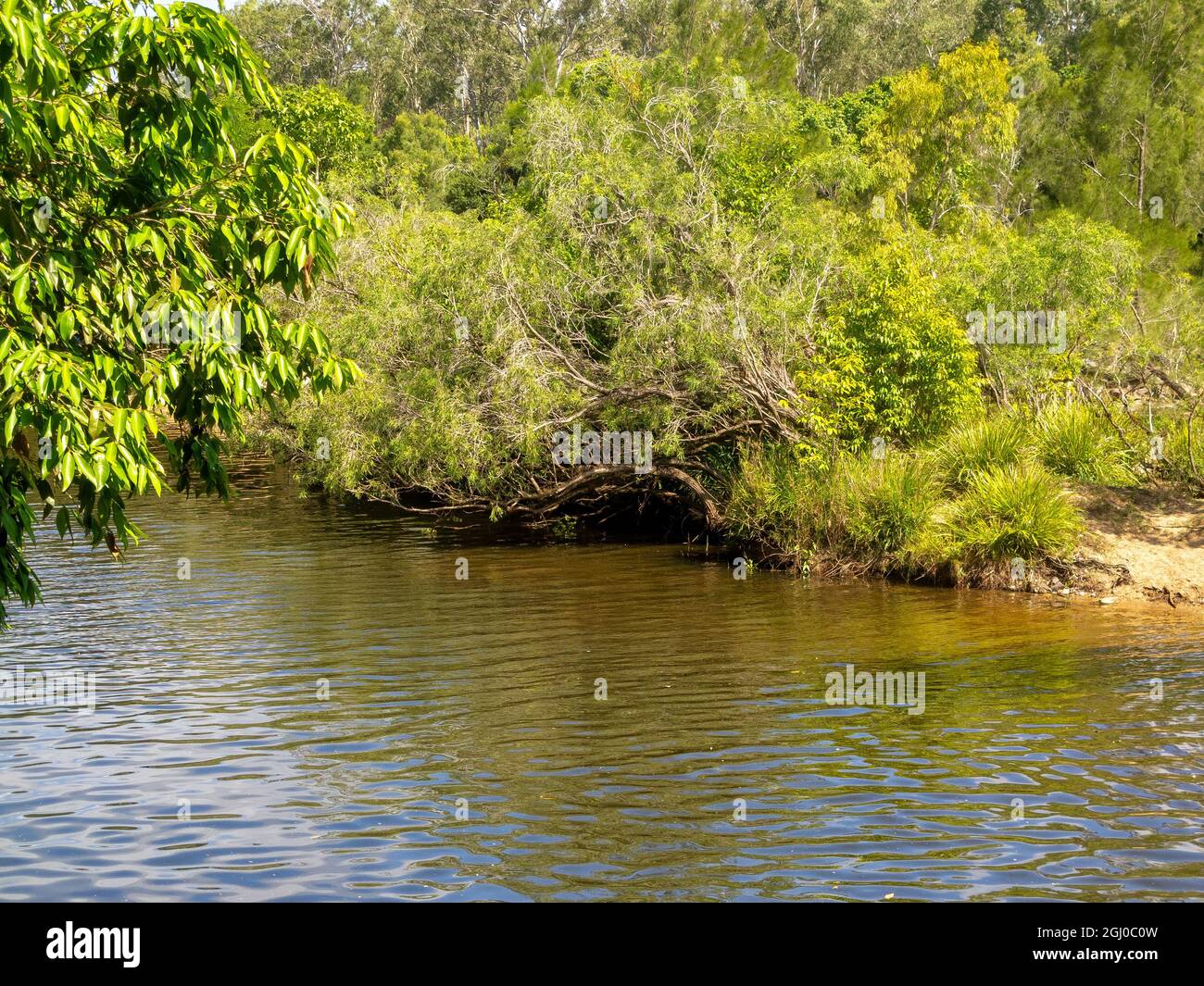 The Barron River near Kuranda Stock Photo - Alamy