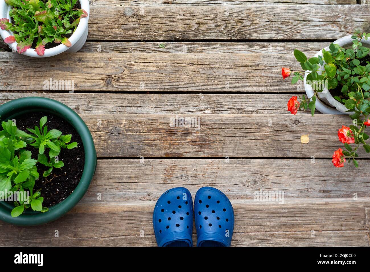 Rubber slippers hi-res stock photography and images - Alamy