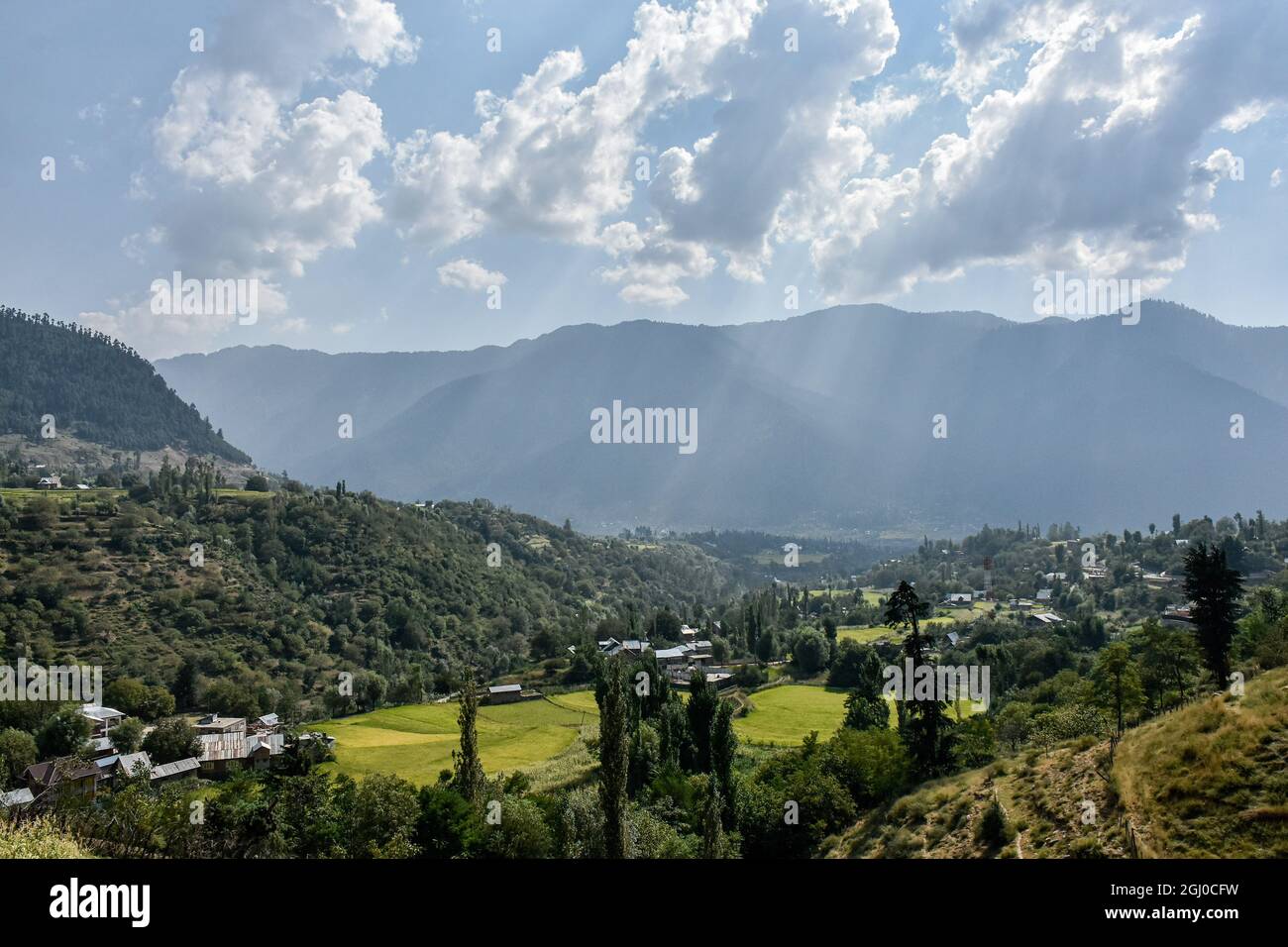 Aerial view of rice field india hi-res stock photography and images - Alamy