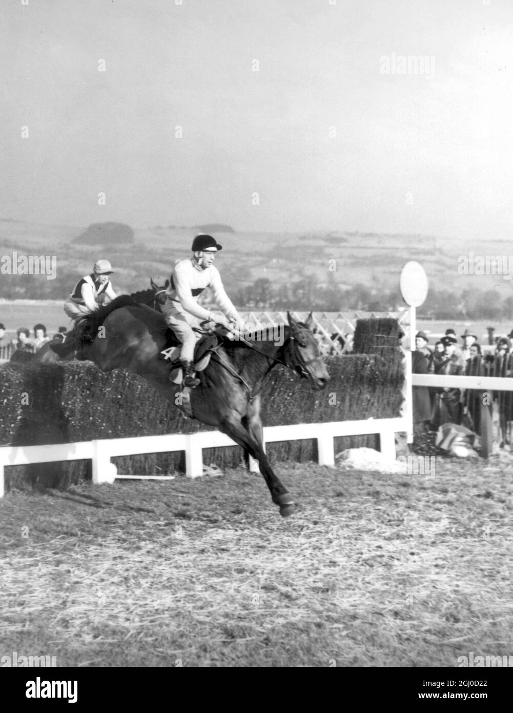 Arkle horse hi-res stock photography and images - Alamy