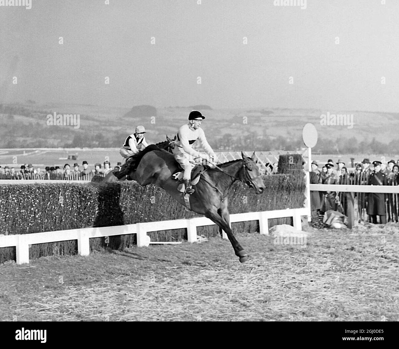 Arkle horse hi-res stock photography and images - Alamy