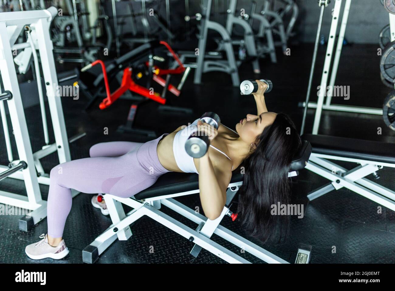 Attractive female athlete doing dumbell bench press in the gym Stock ...