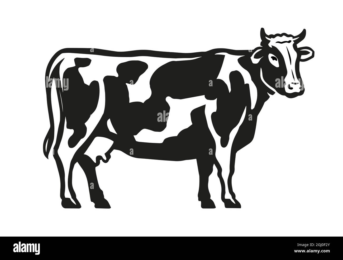 Spotted cow isolated on white background. Dairy food concept. Outline ...