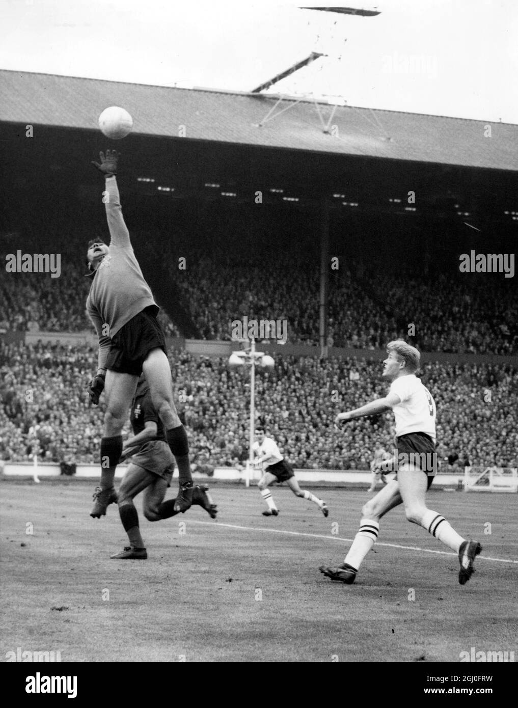 Pionter hi-res stock photography and images - Alamy