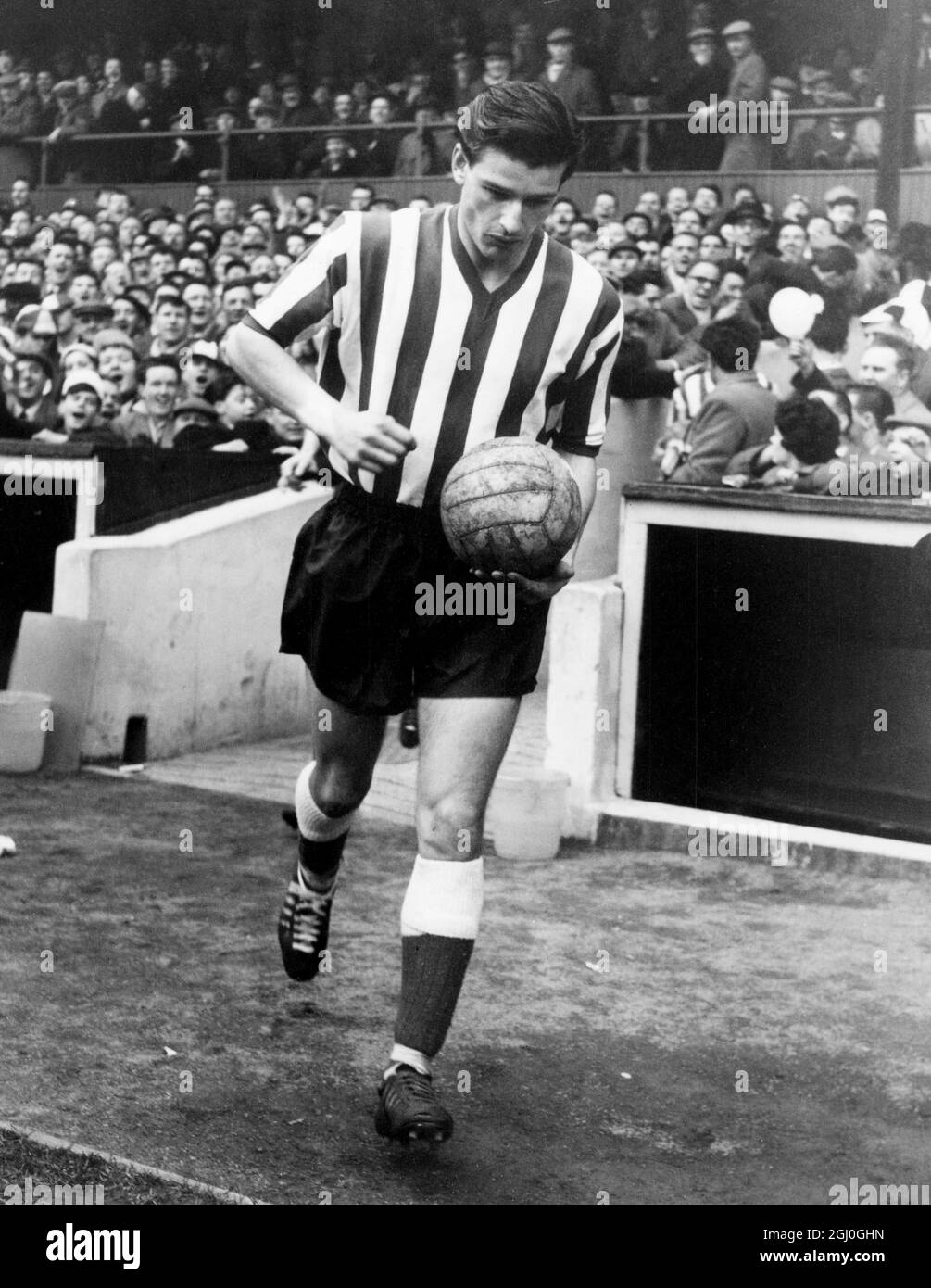 Stan anderson hi-res stock photography and images - Alamy