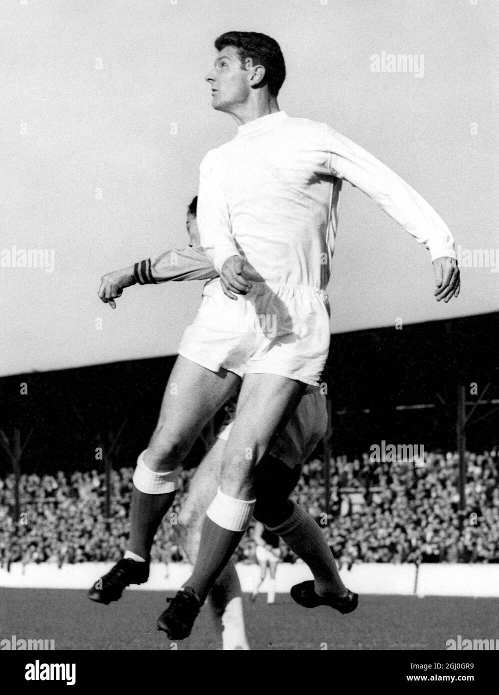 Labone hi-res stock photography and images - Alamy