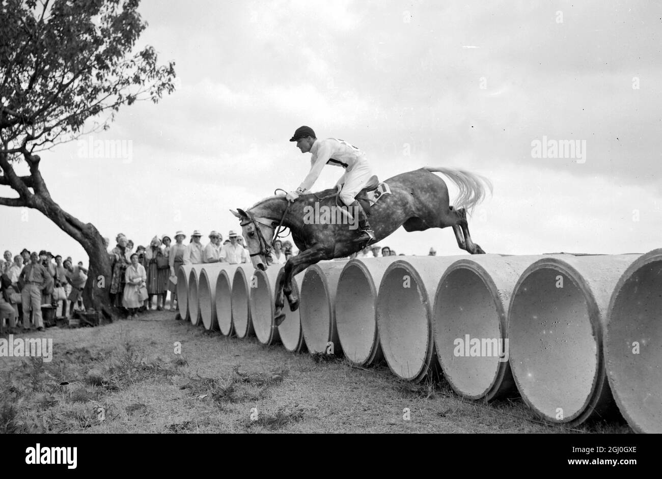 Rome: Michael Bullen (37) on ""Cottage Romance"" during Cross Country ...