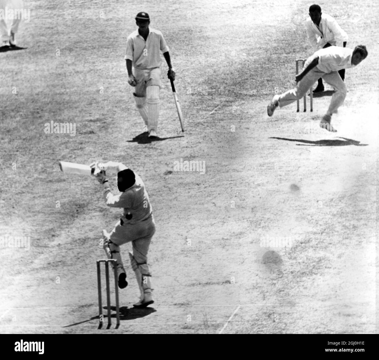 David brown cricket Black and White Stock Photos & Images - Alamy