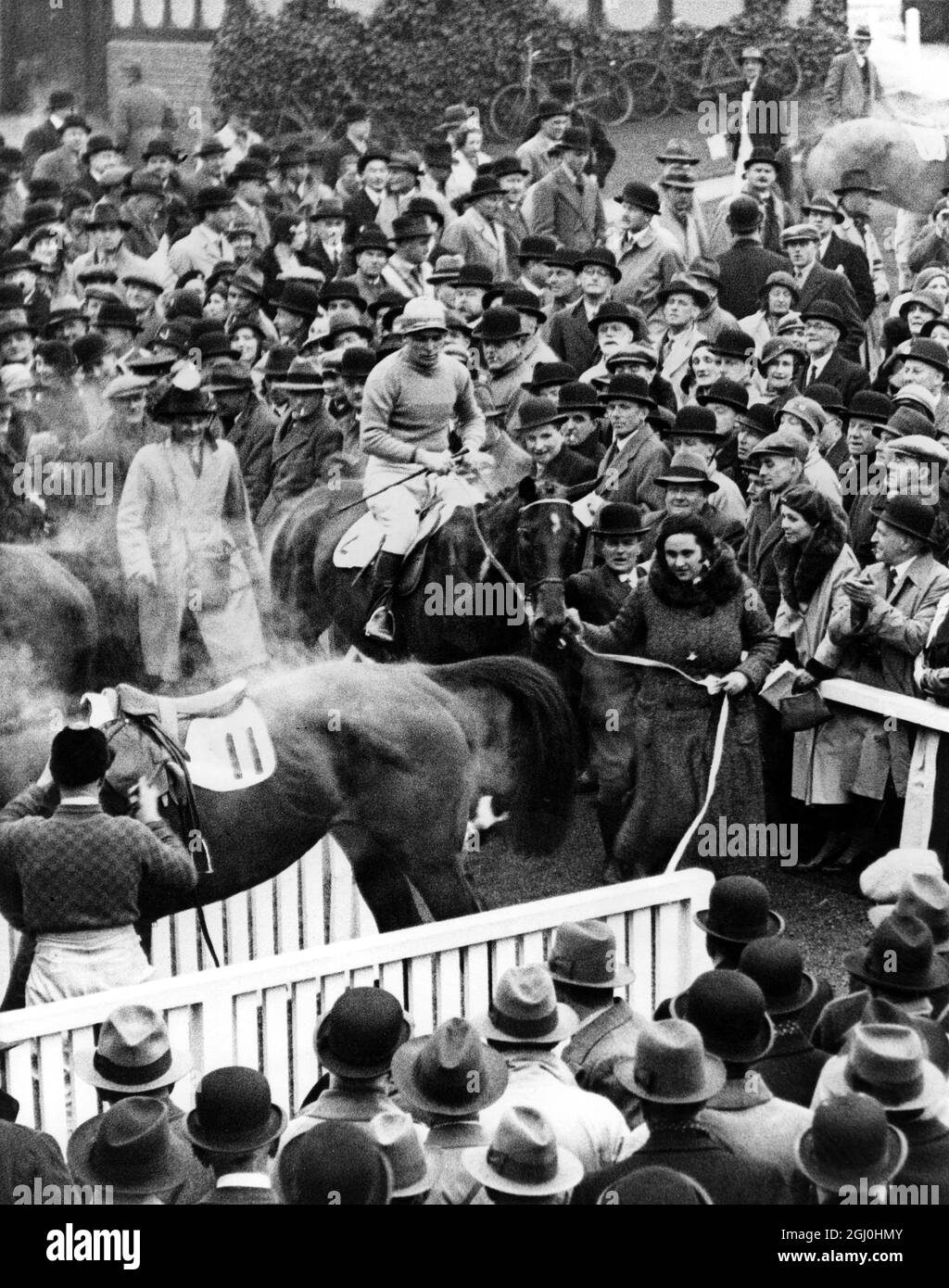 Winning cheltenham hi-res stock photography and images - Alamy