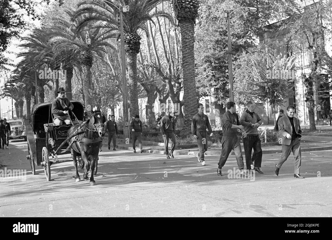 Rengo, Chile: Pictured on a training walk through a Palm lined street ...