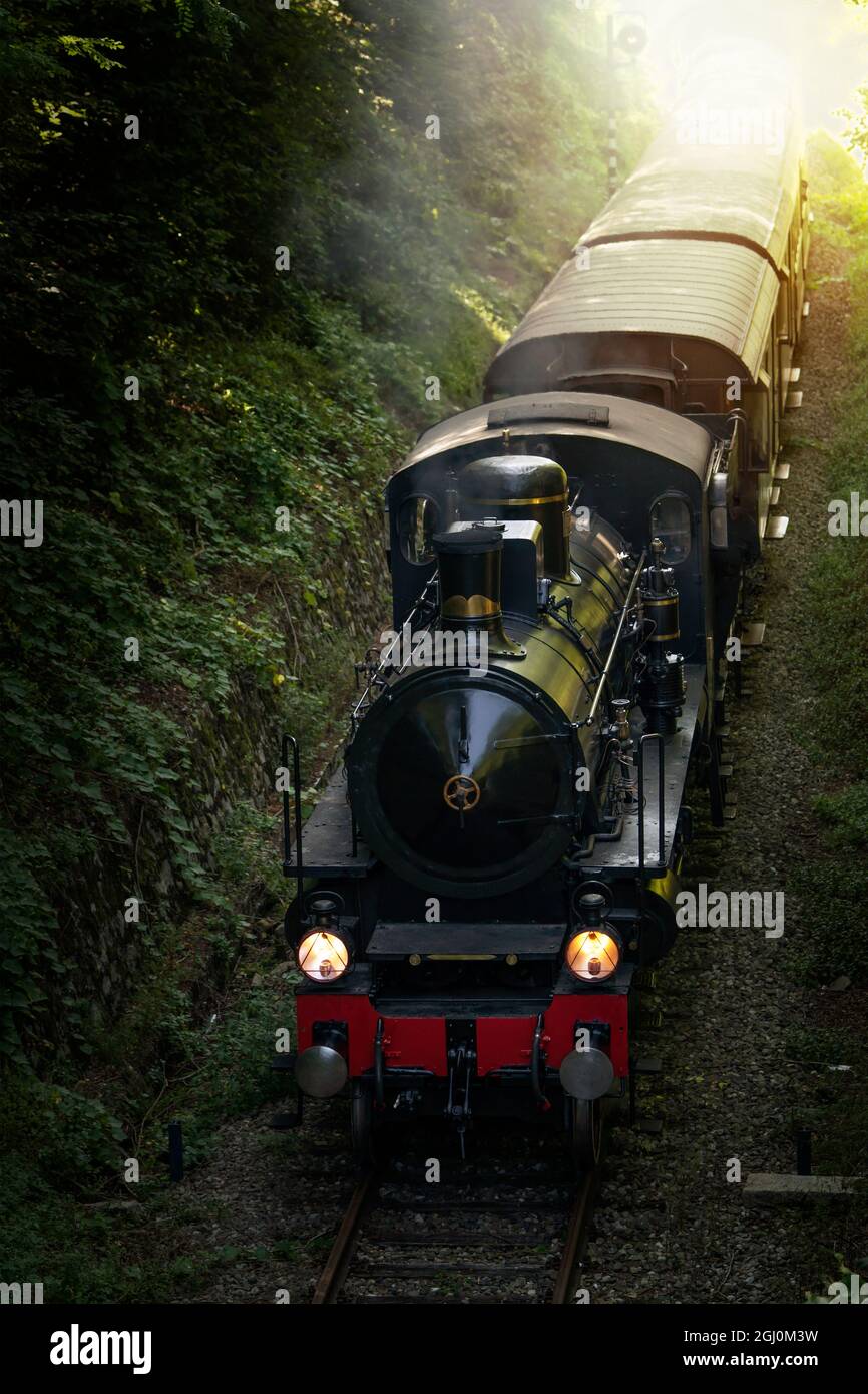 Ancient steam train enters a shady forest with dramatic background ligh ...