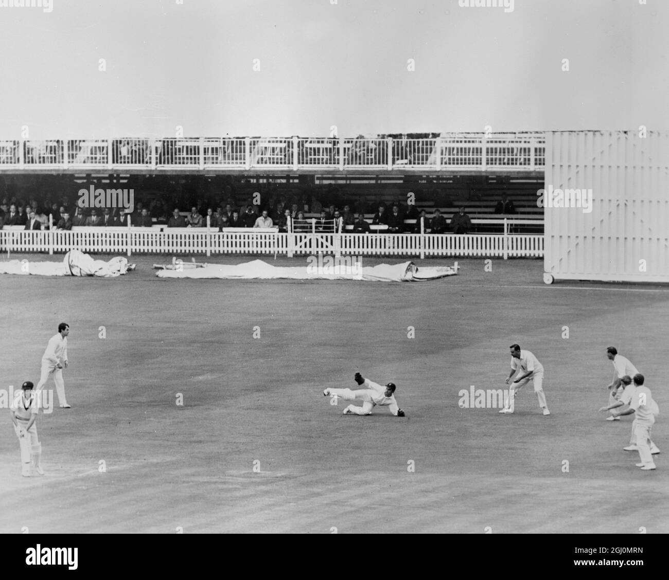 June knott hi-res stock photography and images - Alamy