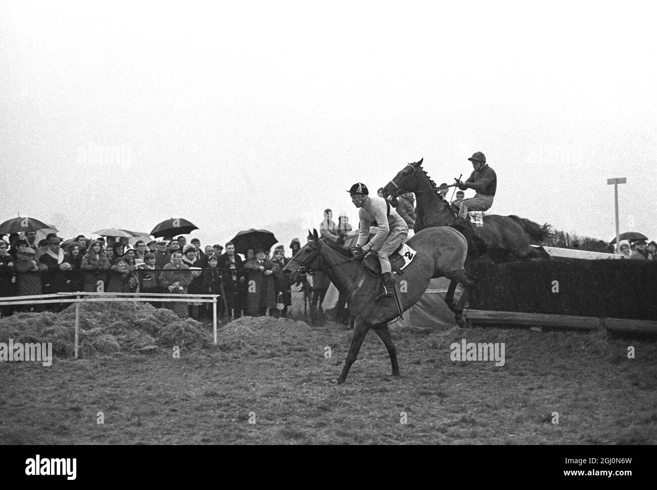 Black park iver hi-res stock photography and images - Alamy