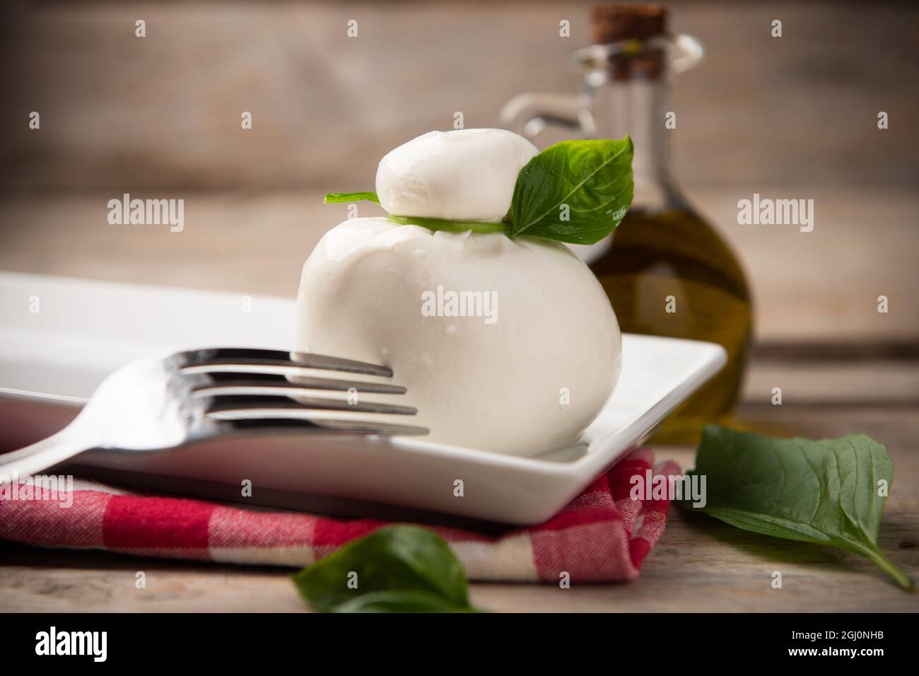 Delicious italian Burrata mozzarella cheese made with fresh milk close ...