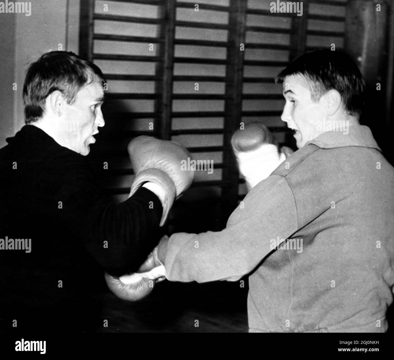 European black slug Black and White Stock Photos & Images - Alamy