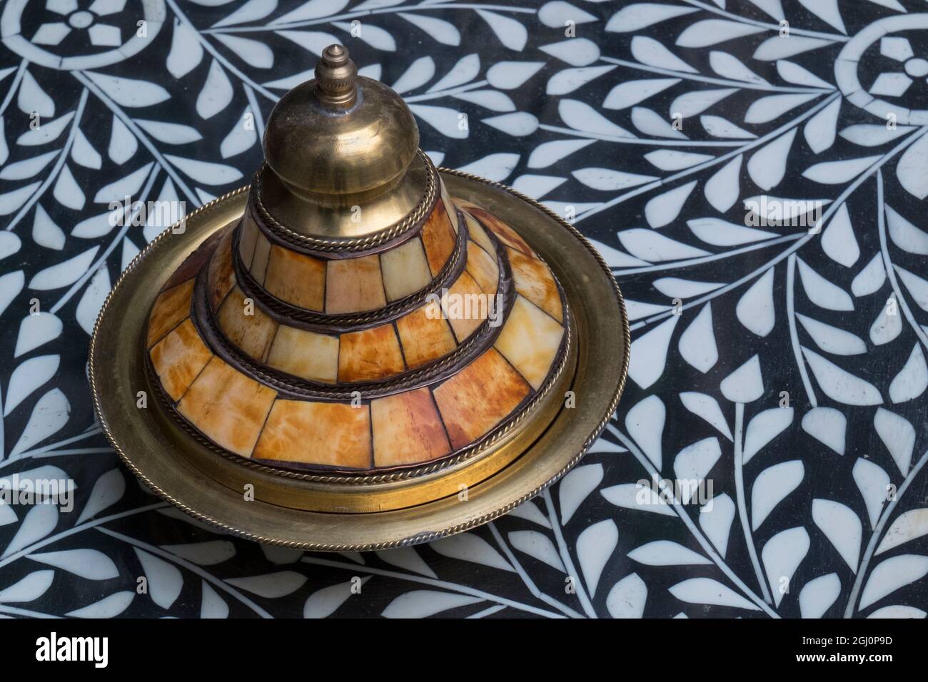 Camel bone hi-res stock photography and images - Alamy