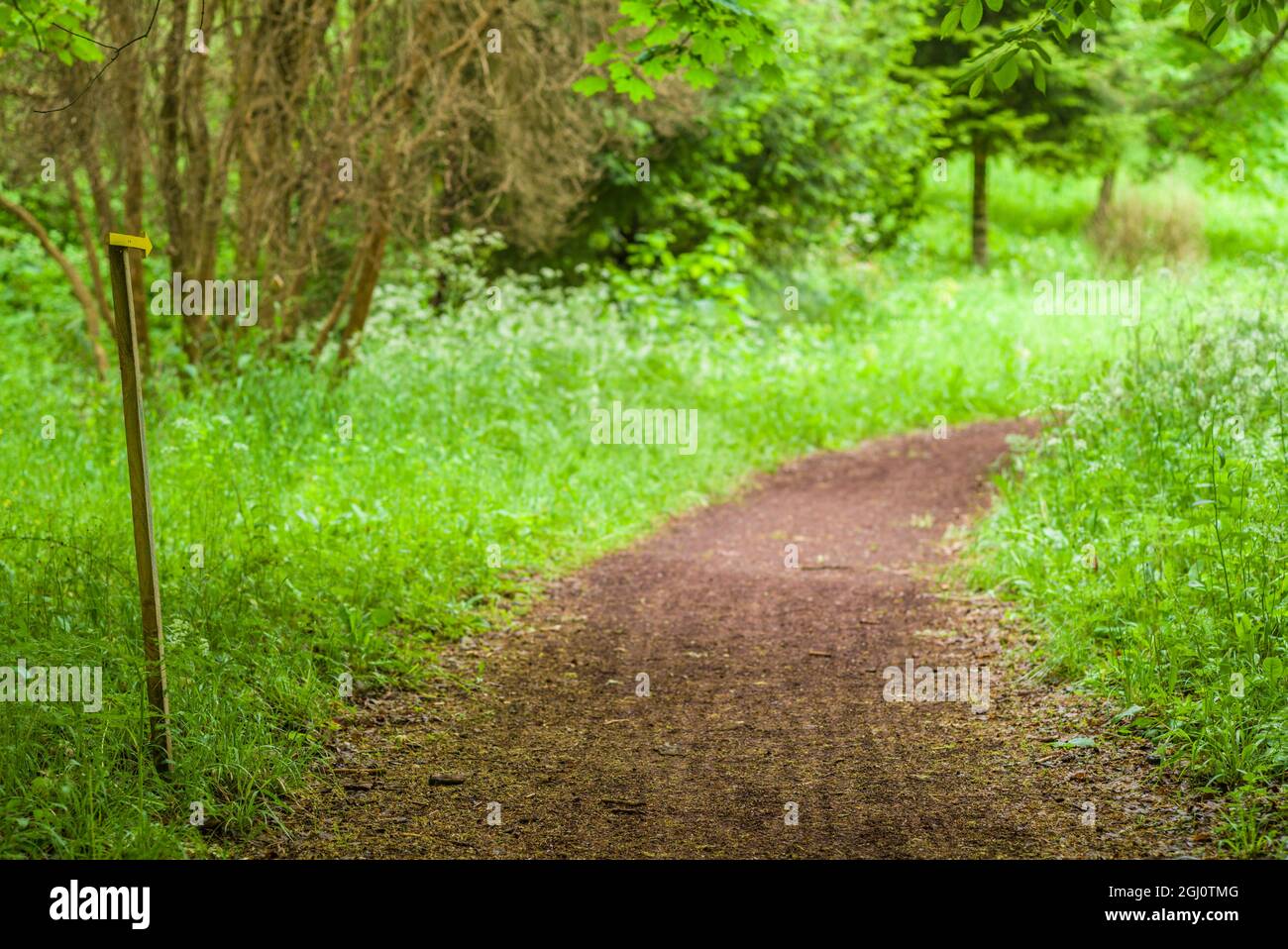 Georgia, Borjomi-Likani. Famous mineral water resort, park path Stock ...