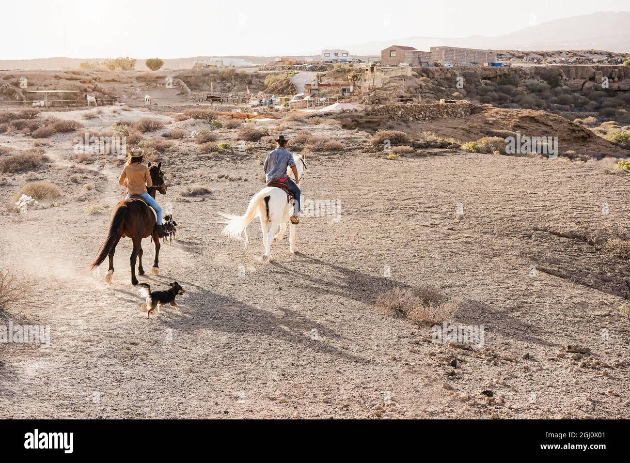 Young couple riding horses doing excursion with dog pets at sunset ...