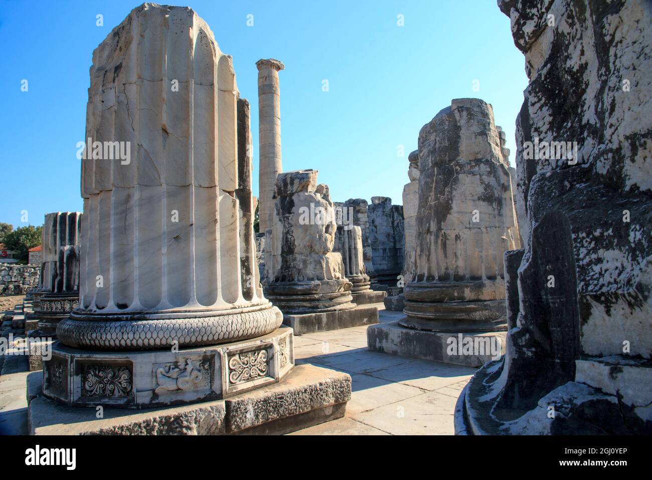 Turkey, west coast, Didyma, a sacred site of the ancient world. Its ...