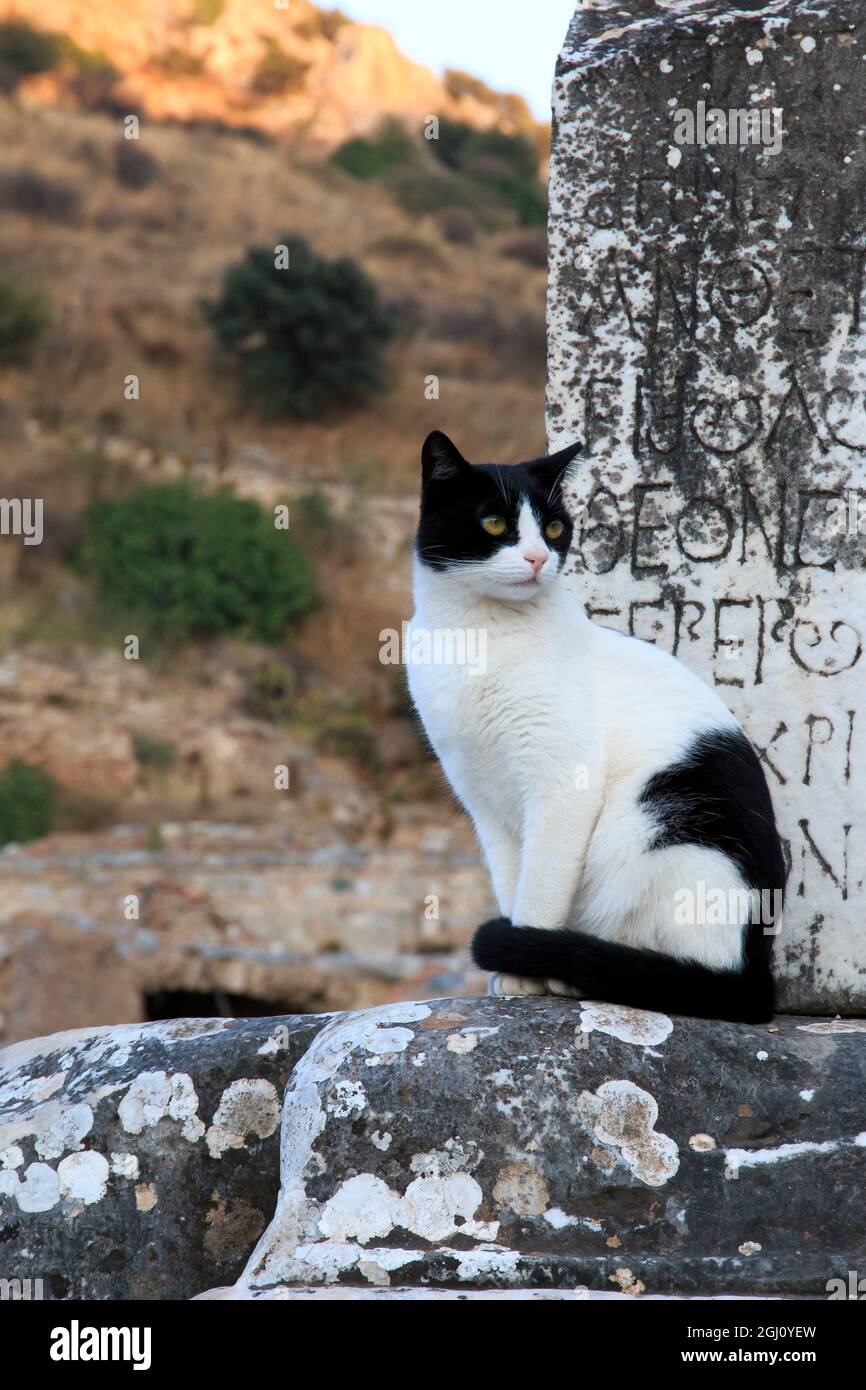 Turkey, Izmir Province, Selcuk, ancient city Ephesus, ancient world ...