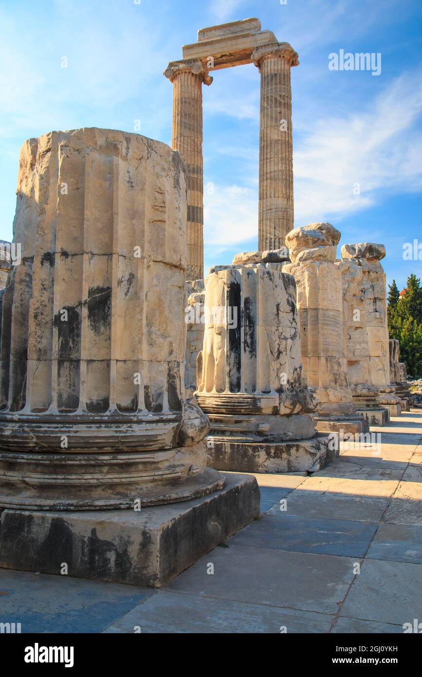 Turkey, west coast, Didyma, a sacred site of the ancient world. Its ...
