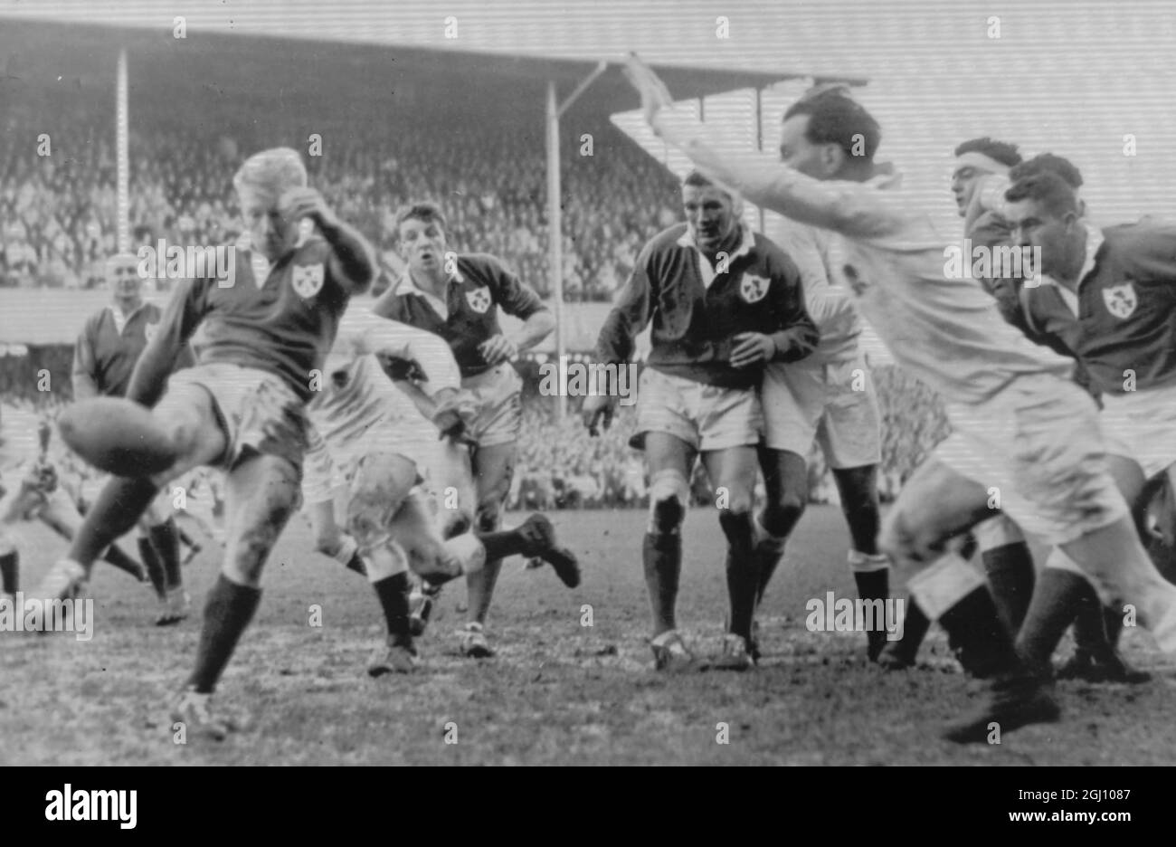 Rugby england ireland hi-res stock photography and images - Alamy