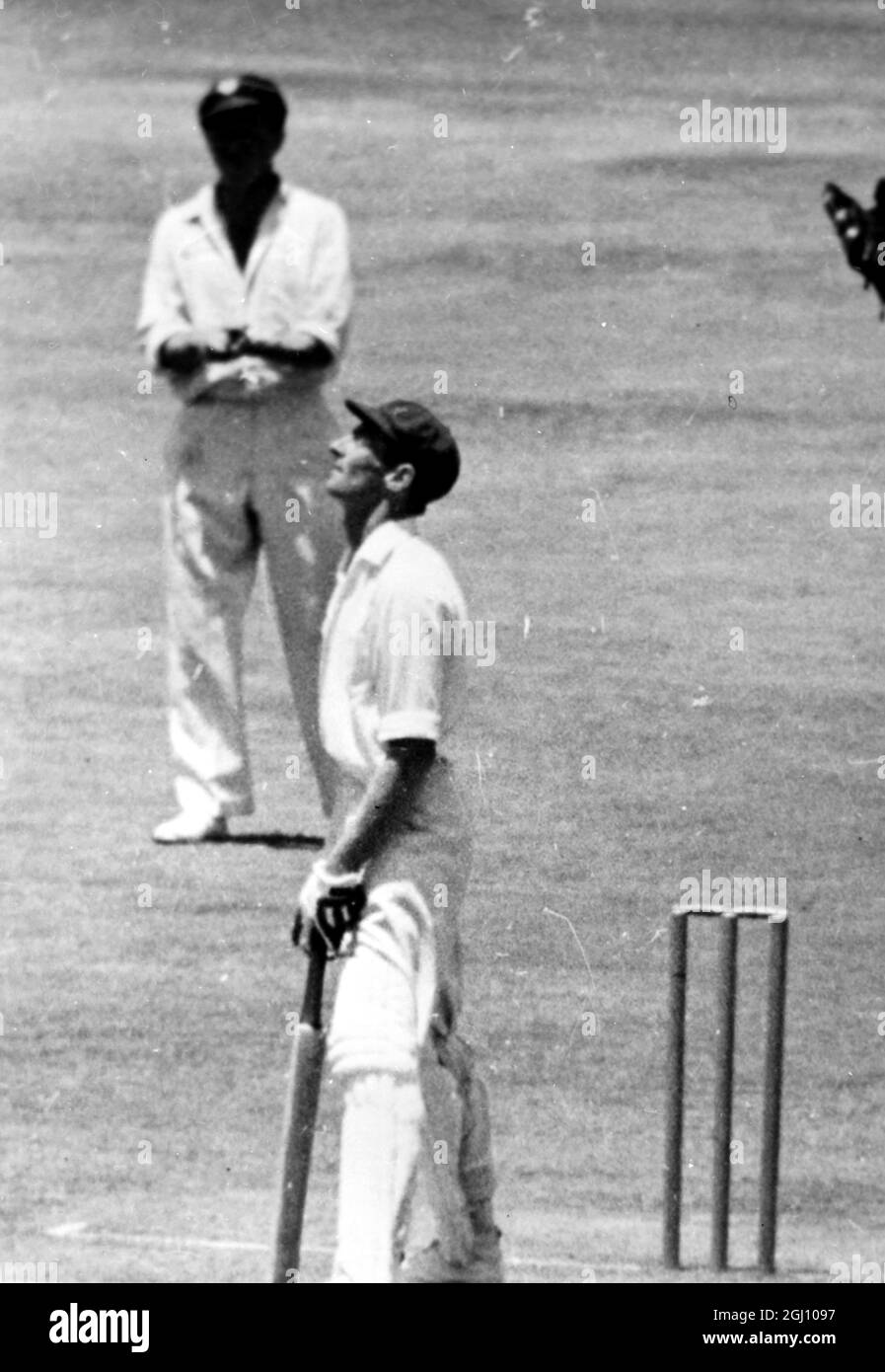 Cricket craig white hi-res stock photography and images - Alamy