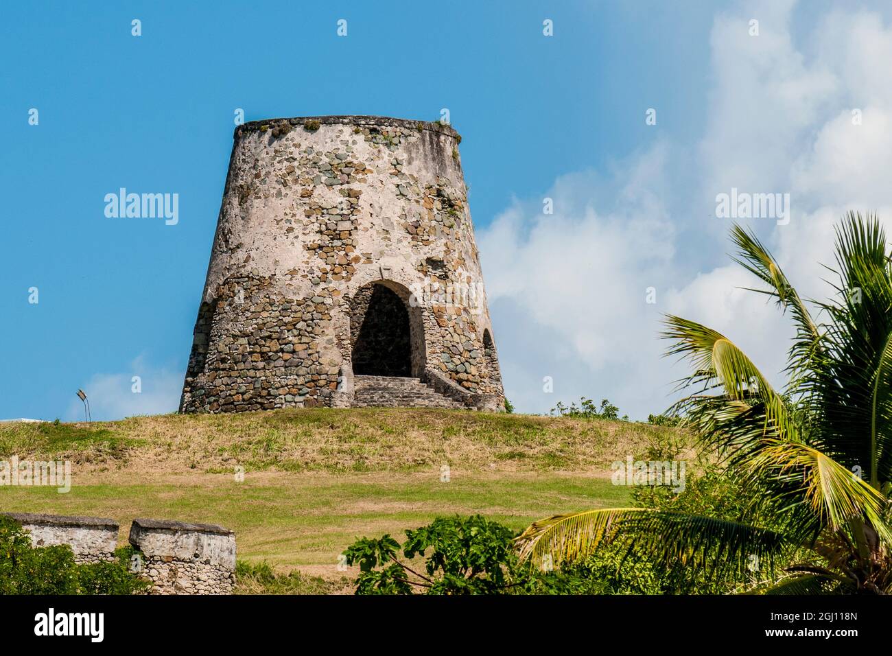 Planta op hi-res stock photography and images - Alamy