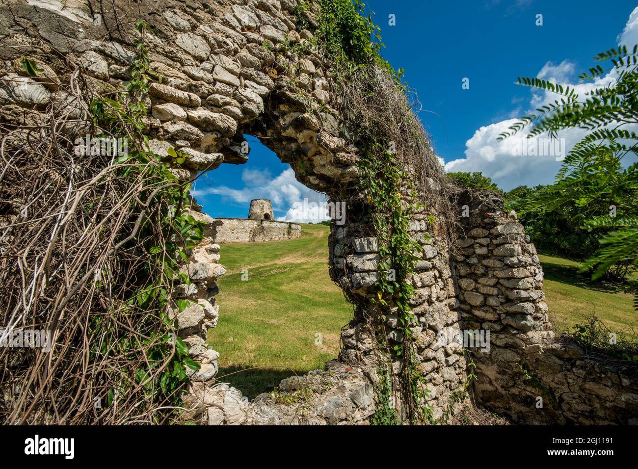 Planta op hi-res stock photography and images - Alamy