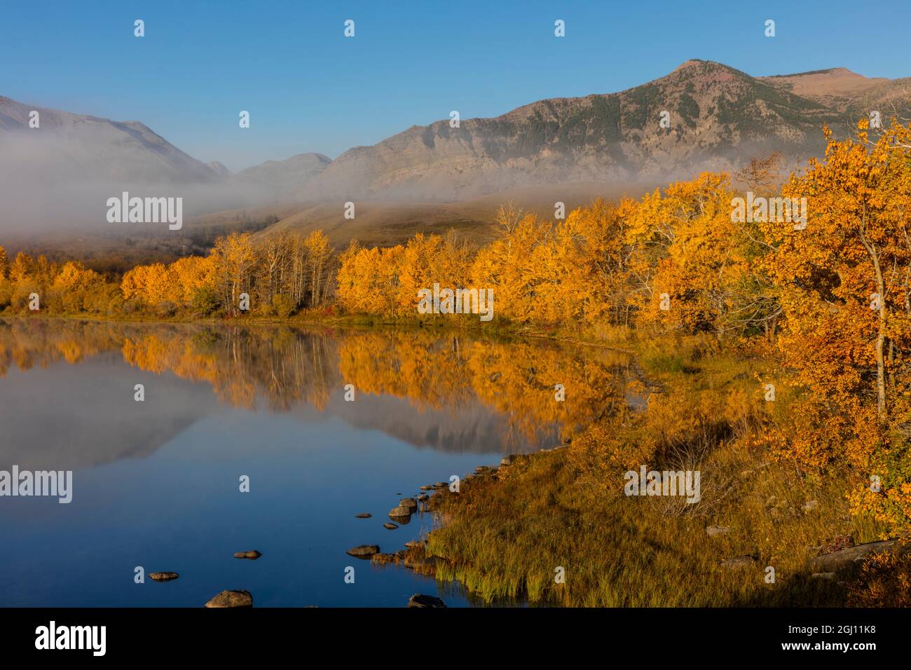 Autumn color reflects into Maskinonge Lake in Waterton Lakes National ...