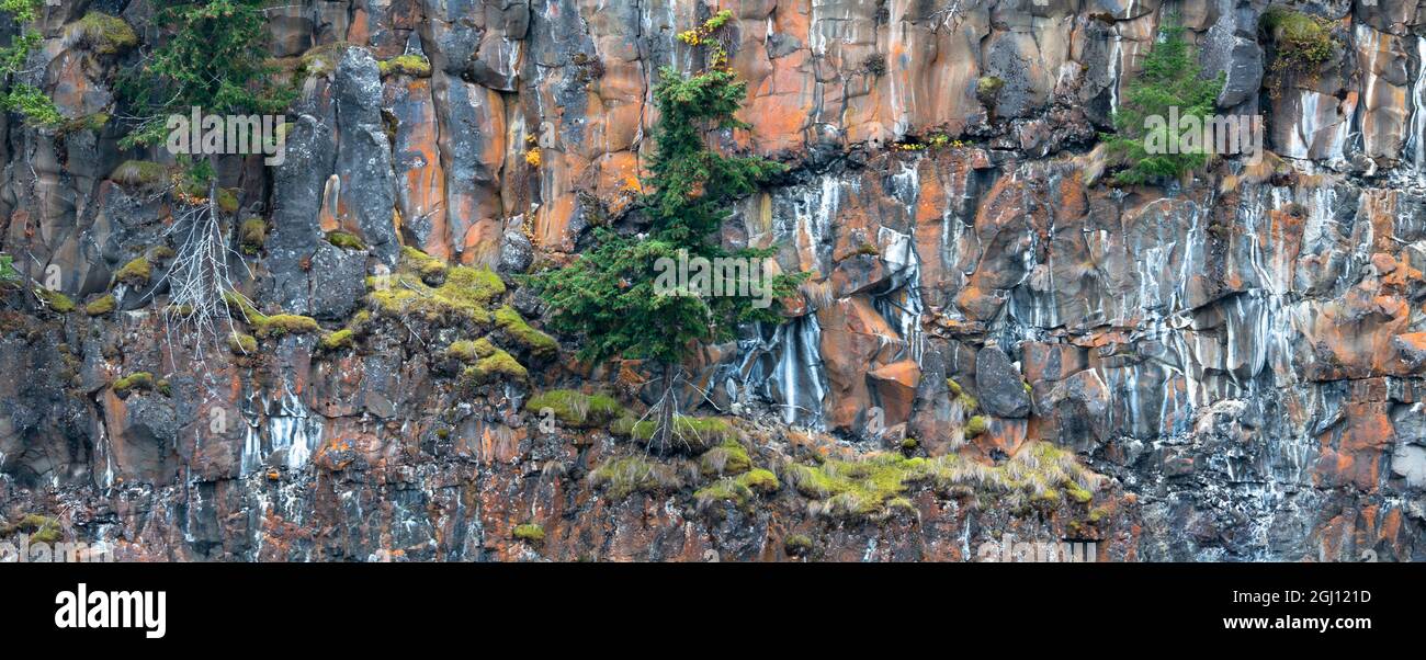 Canada, British Columbia. Basalt cliff with vegetation at Helmcken ...
