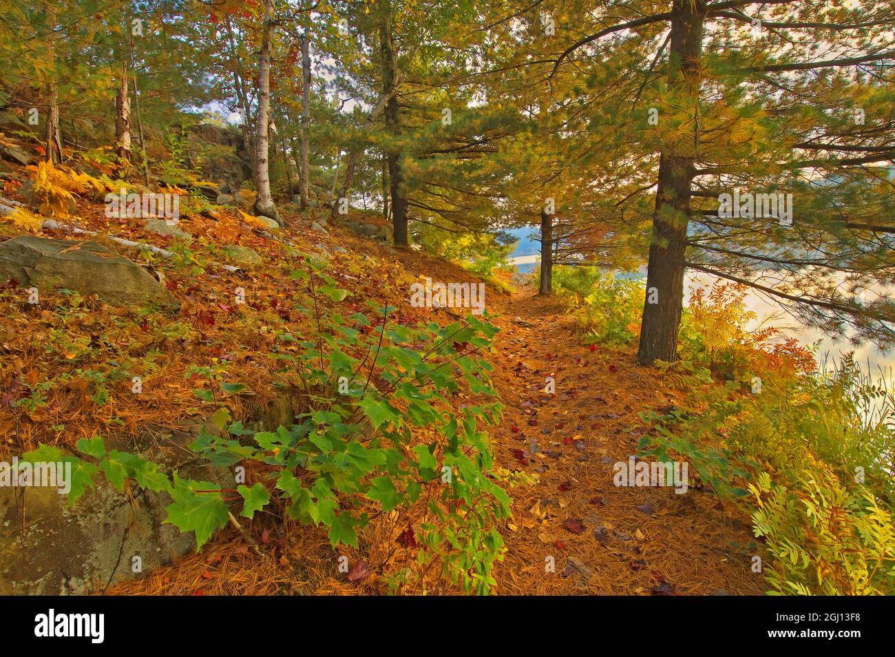 Canada, Ontario, Killarney Provincial Park, Trail at George Lake ...