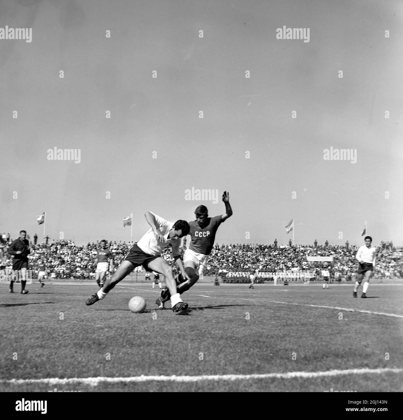 Tussles hi-res stock photography and images - Alamy